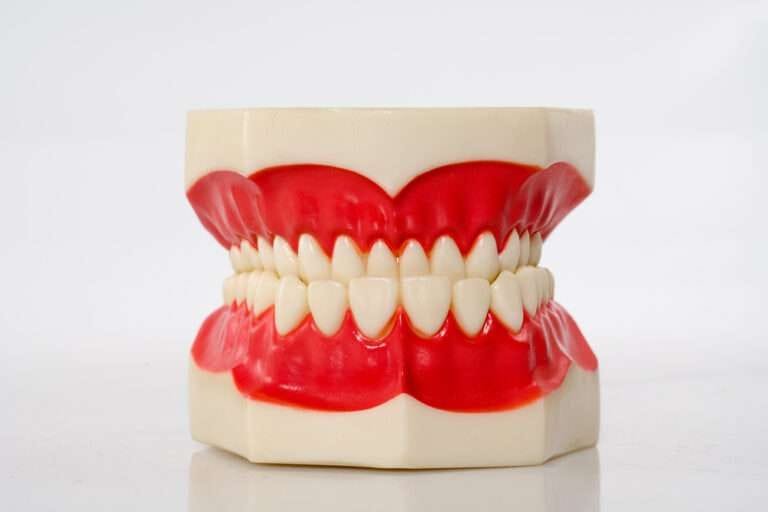Lower Partial Dentures Bottom Front Teeth | Hummingbird Dental | Voted ...
